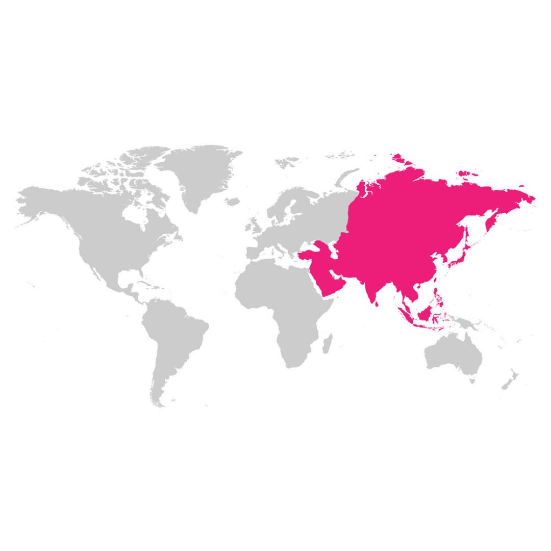 Global Presence – DECEFRAG PHARMACEUTICALS